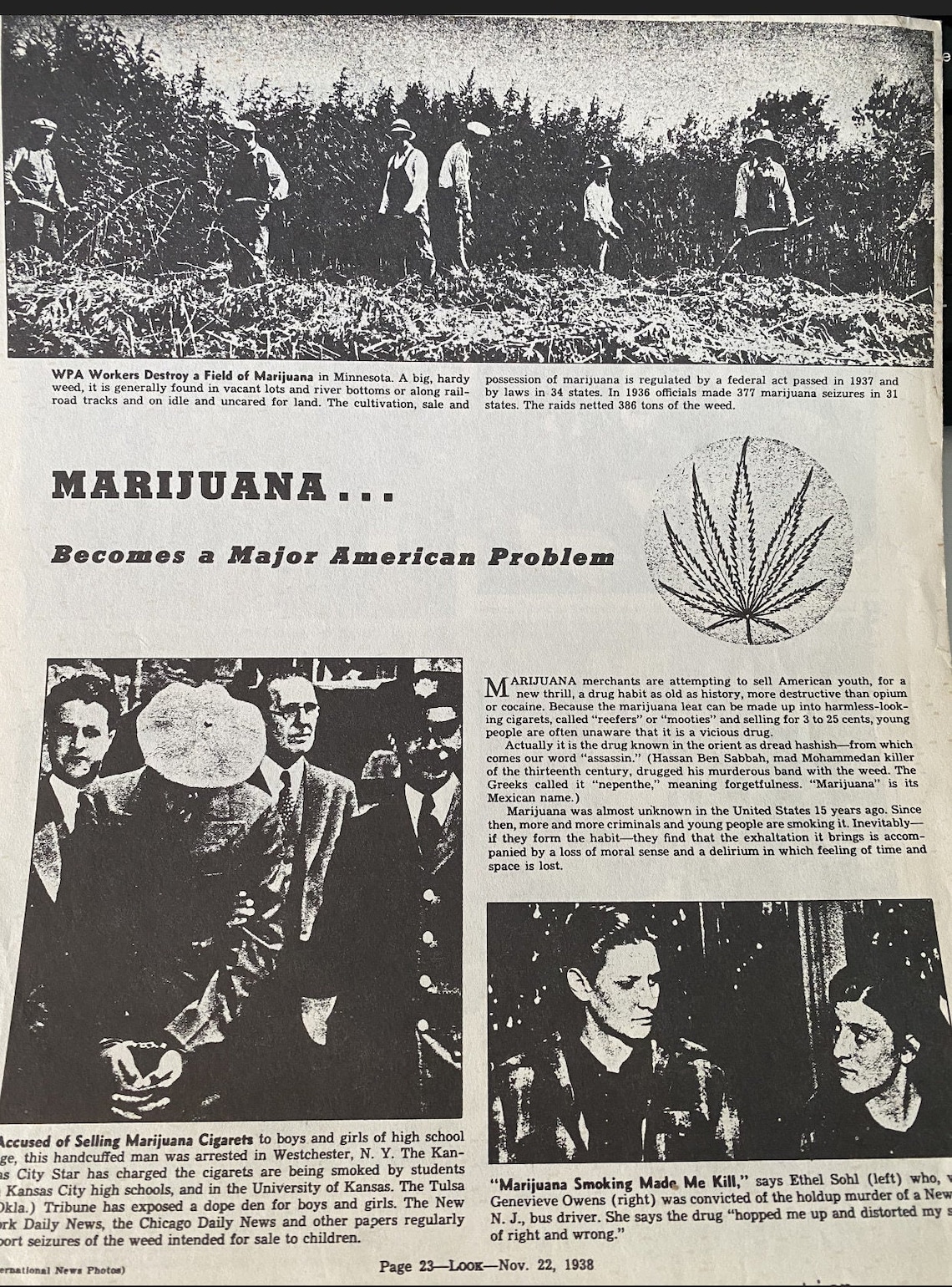 Reefer Madness 1972 Promotional Theater Advertisement - Etsy