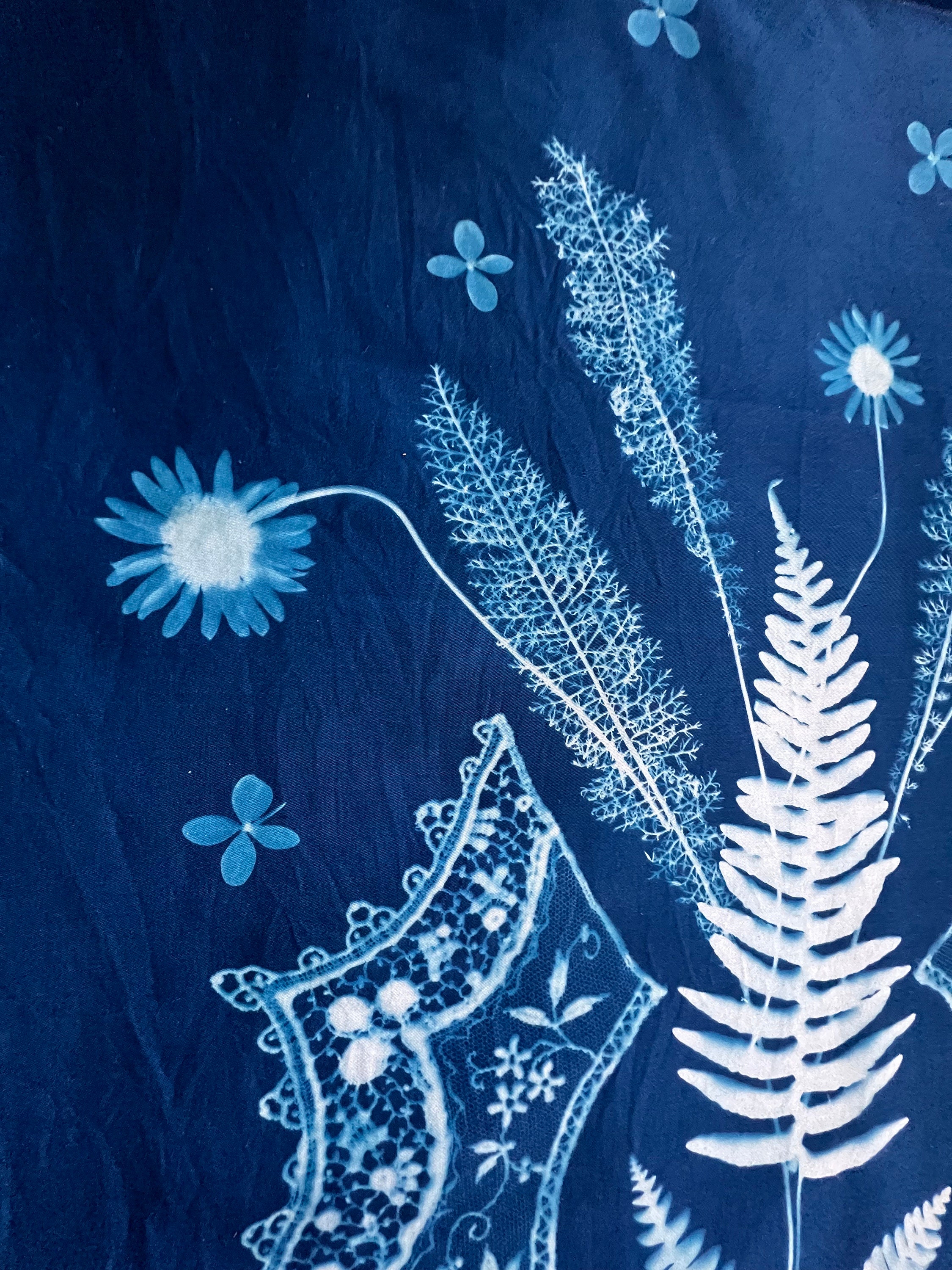 Botanical Decor Schoolhouse Chart Style Cyanotype Art Wall Hanging ...