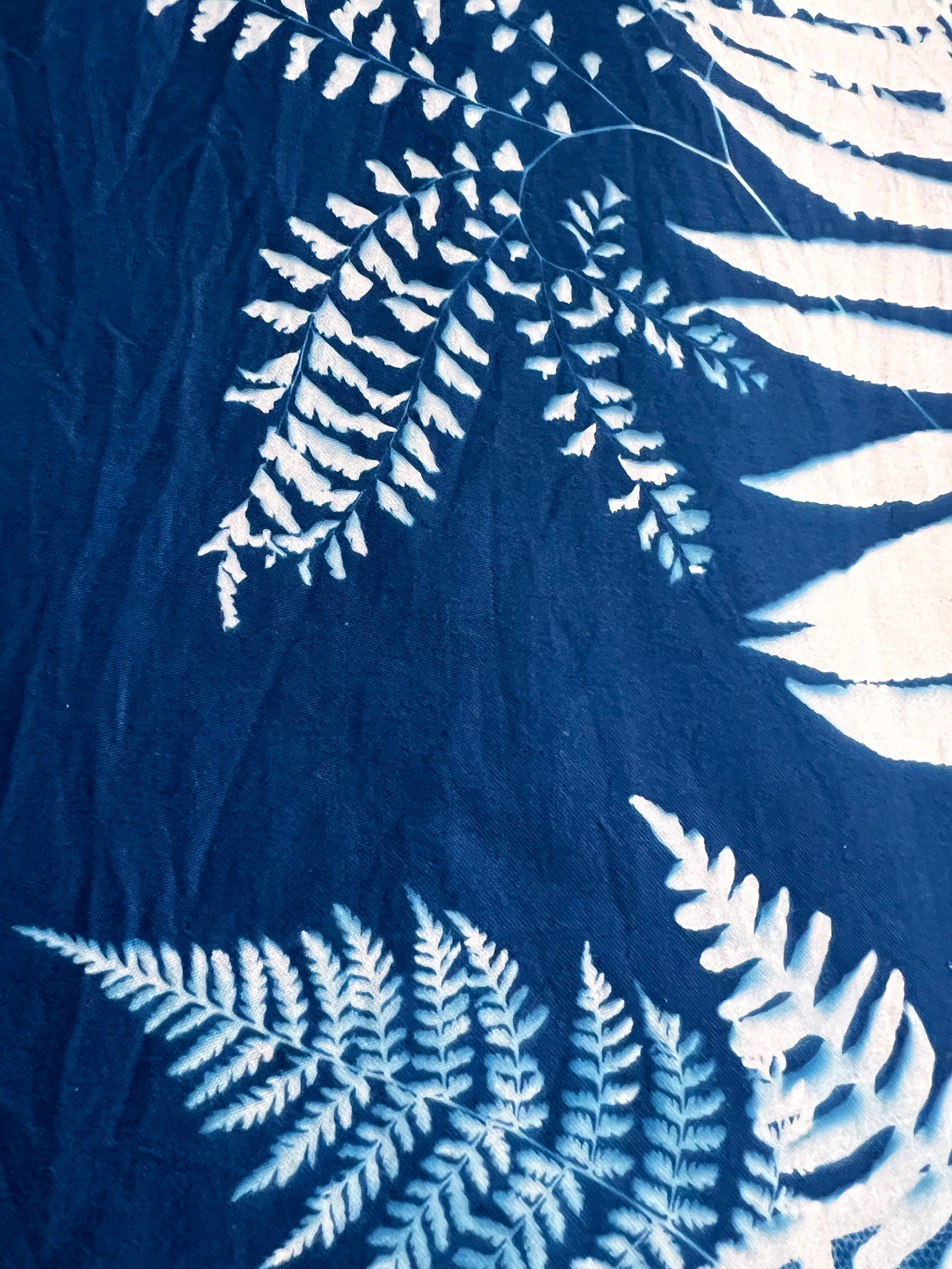 Botanical Decor Schoolhouse Chart Style Cyanotype Art Wall Hanging ...