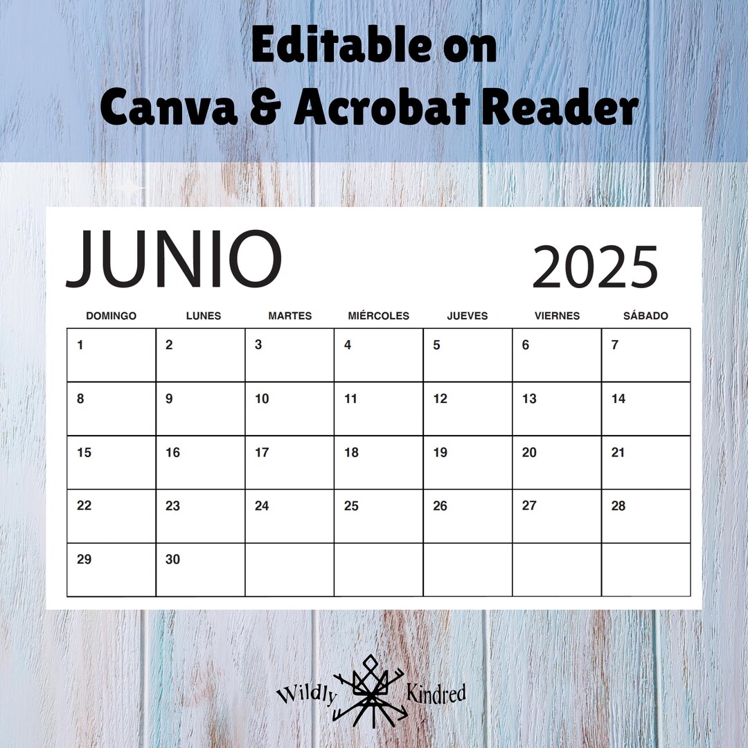 EDITABLE 2025 Junio Minimalist Black and White Monthly Planner Fillable ...