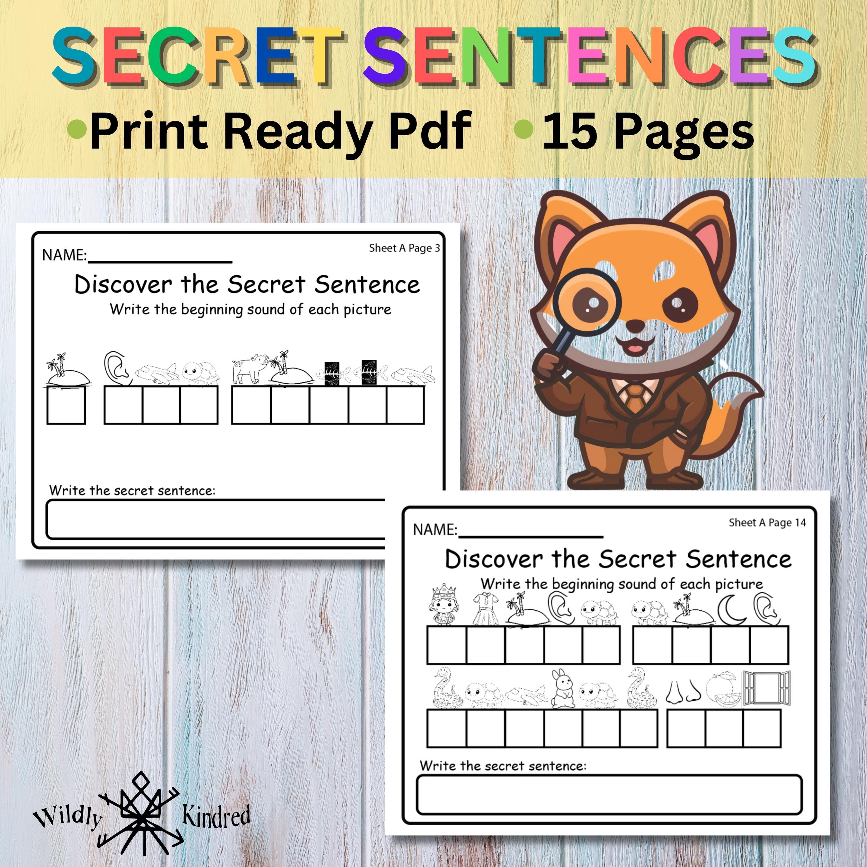 Printable Write the Sentence Secret Sentence CVC Words Sight Words ...