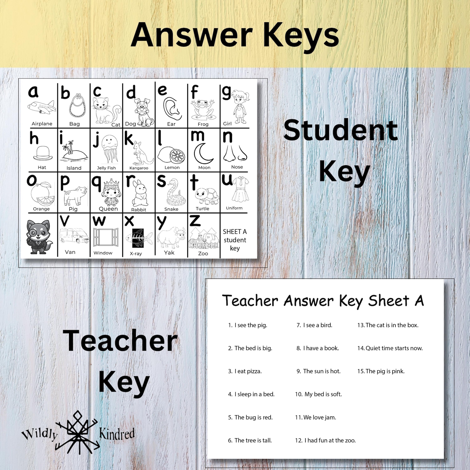 Printable Write the Sentence Secret Sentence CVC Words Sight Words ...