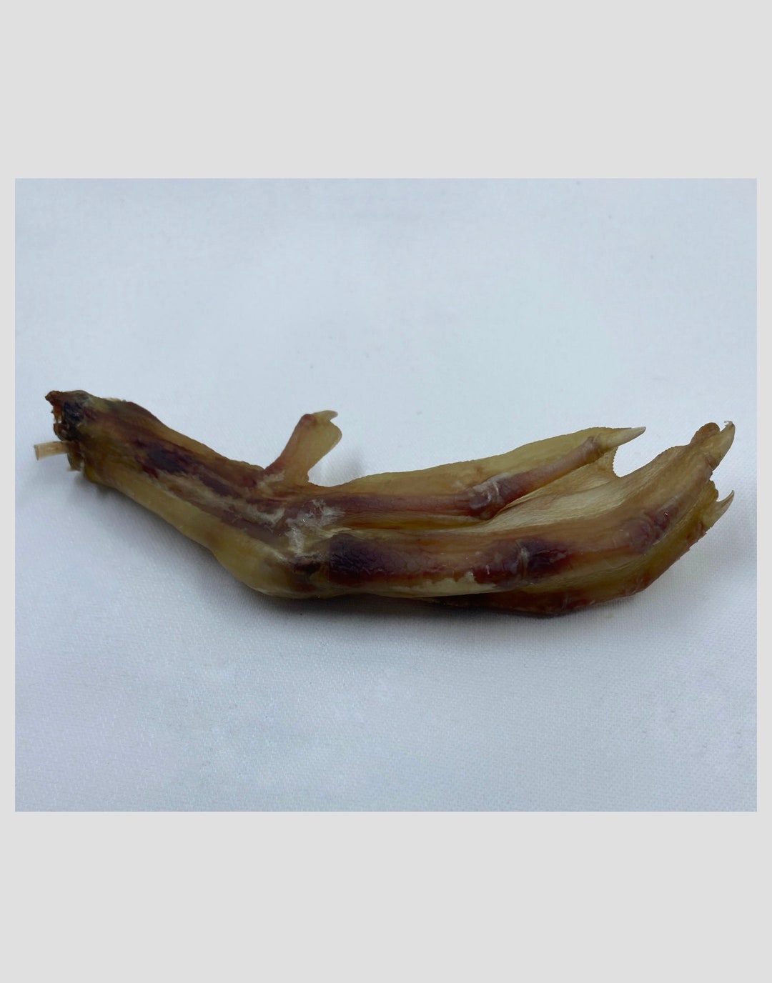 Dehydrated Duck Feet - Etsy