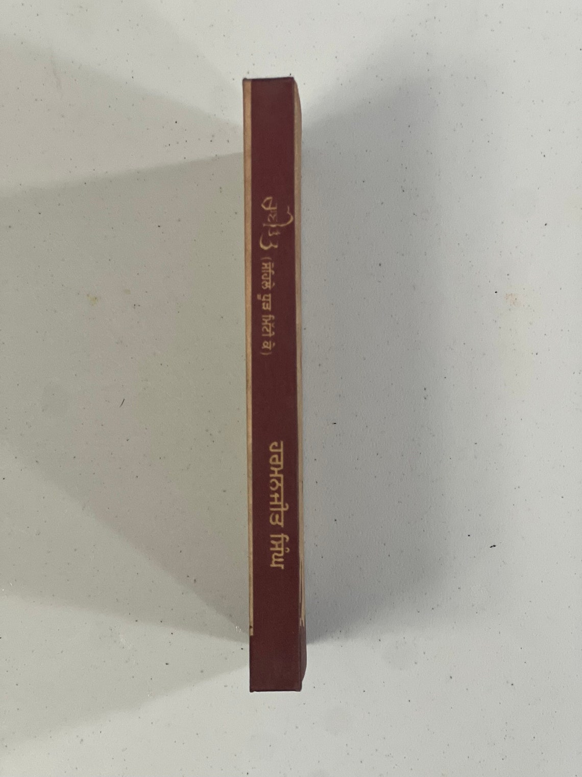 Rani Tatt Harmanjeet Singh Punjabi Books Punjabi Novel Punjabi Book - Etsy