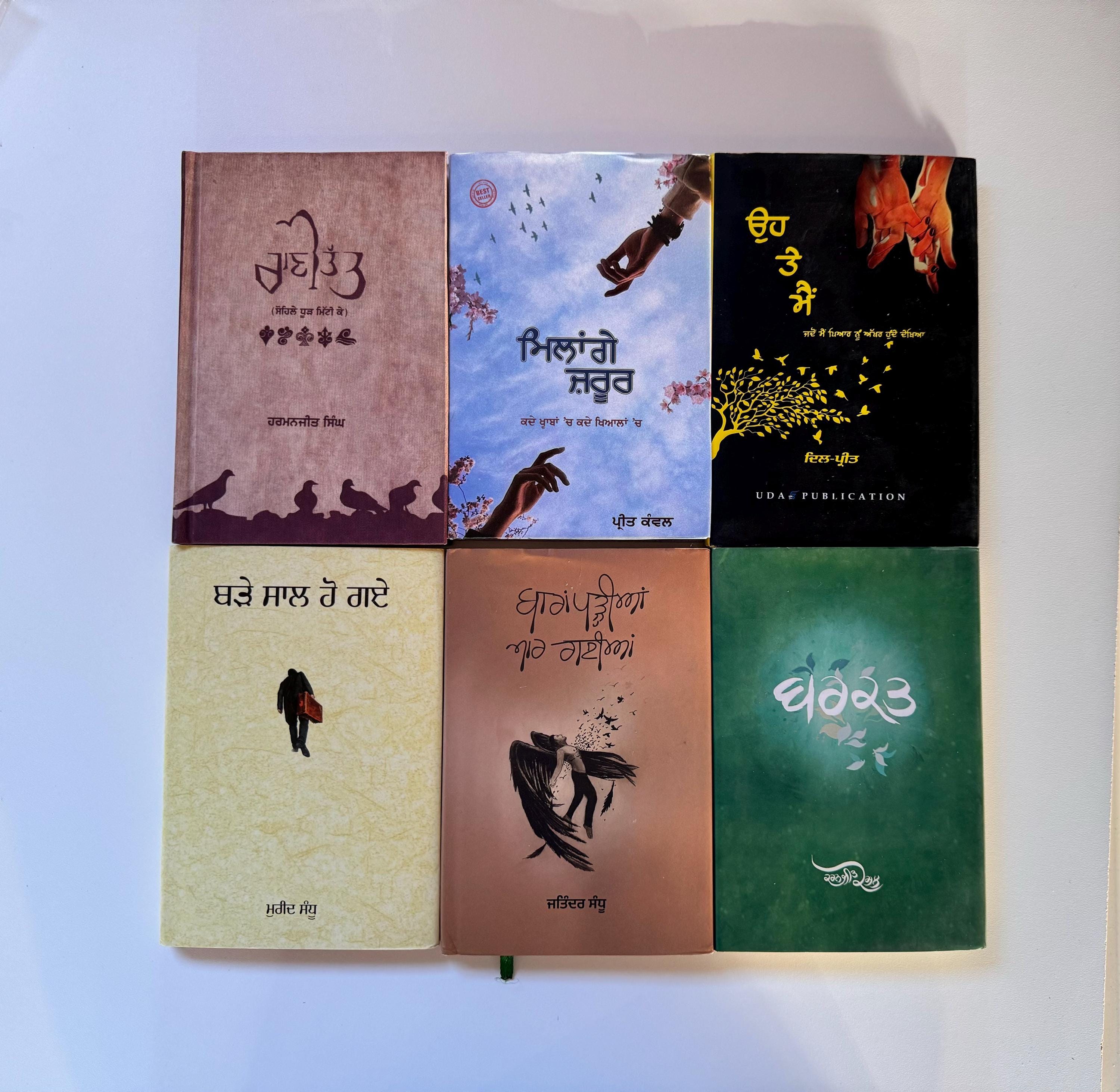 Set of 6 Bestselling Punjabi Poetry Books – Rani Tatt, Milange Zaroor ...