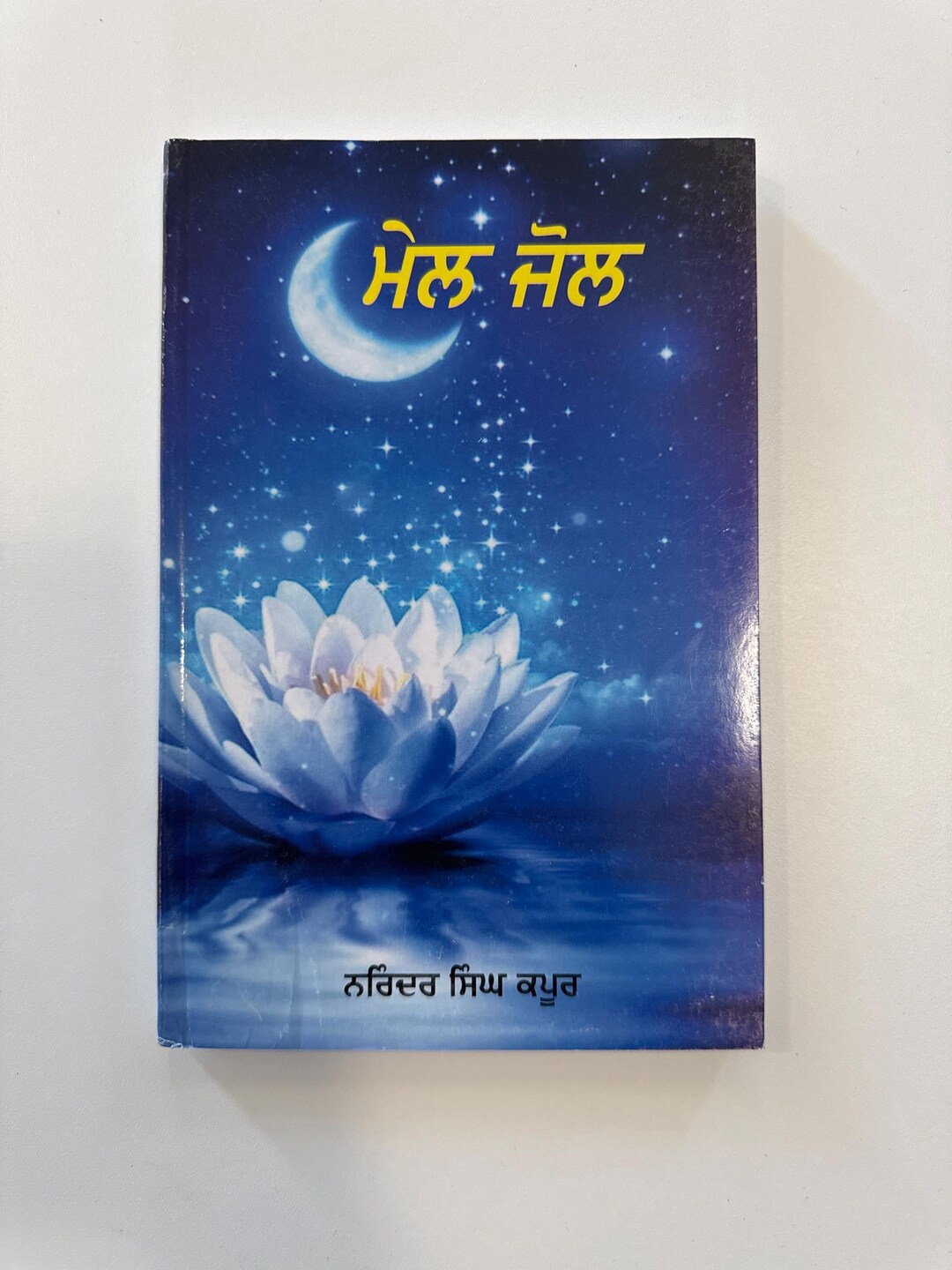 Mel Jol - Narinder Singh Kapoor - Punjabi Books - Meil Jhol - Mail Jhol ...