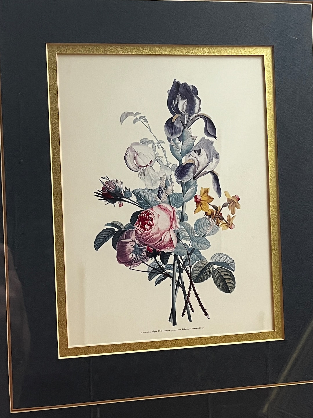 RARE Vintage Jean Louis Prevost Prints Set of 2 iris Roses and ...