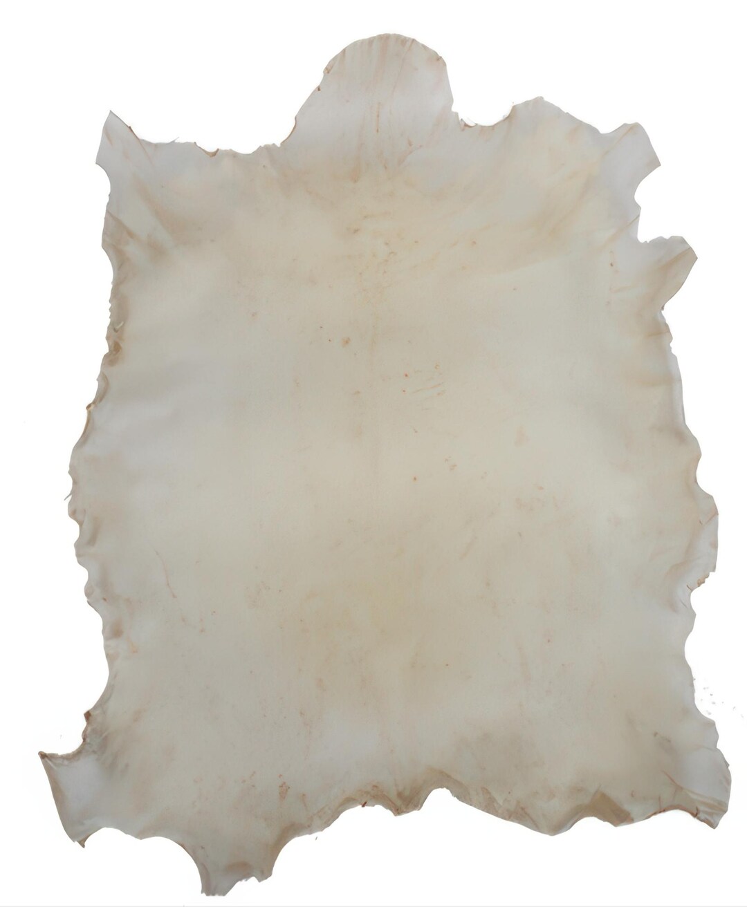 Full Calf Rawhide, Small Drum Making, Native Craft Supplies - Etsy