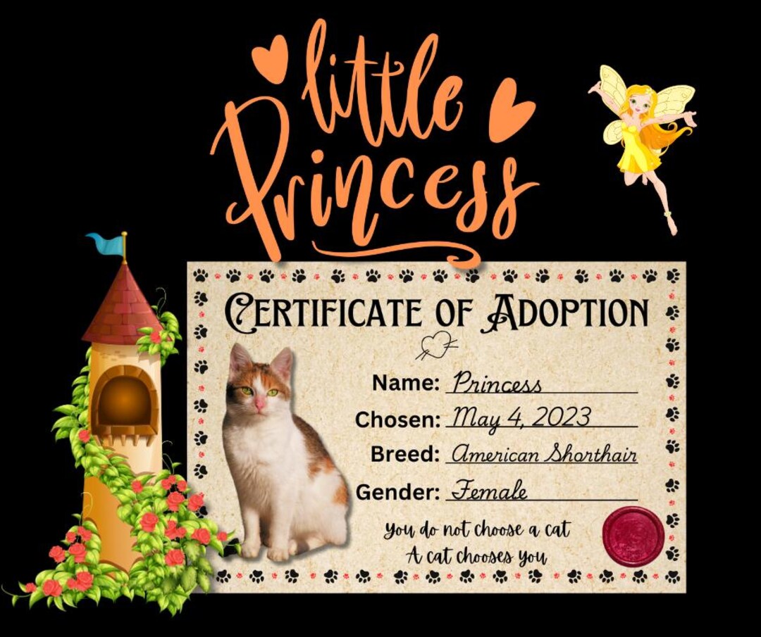 Personalized Cat Adoption Certificate Digital Download Gotcha Day Gift ...