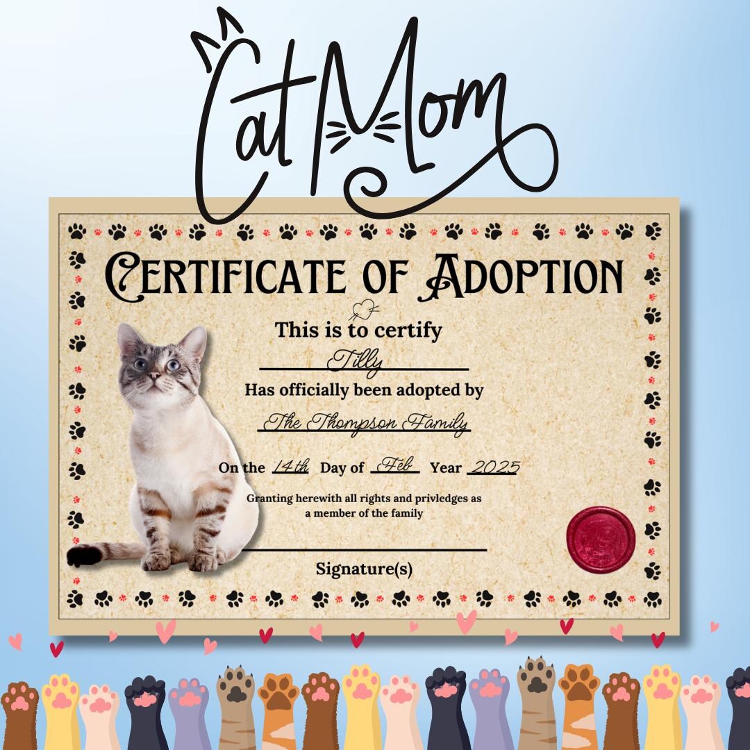 Custom Cat Adoption Certificate Digital Download Gotcha Day Gift - Etsy