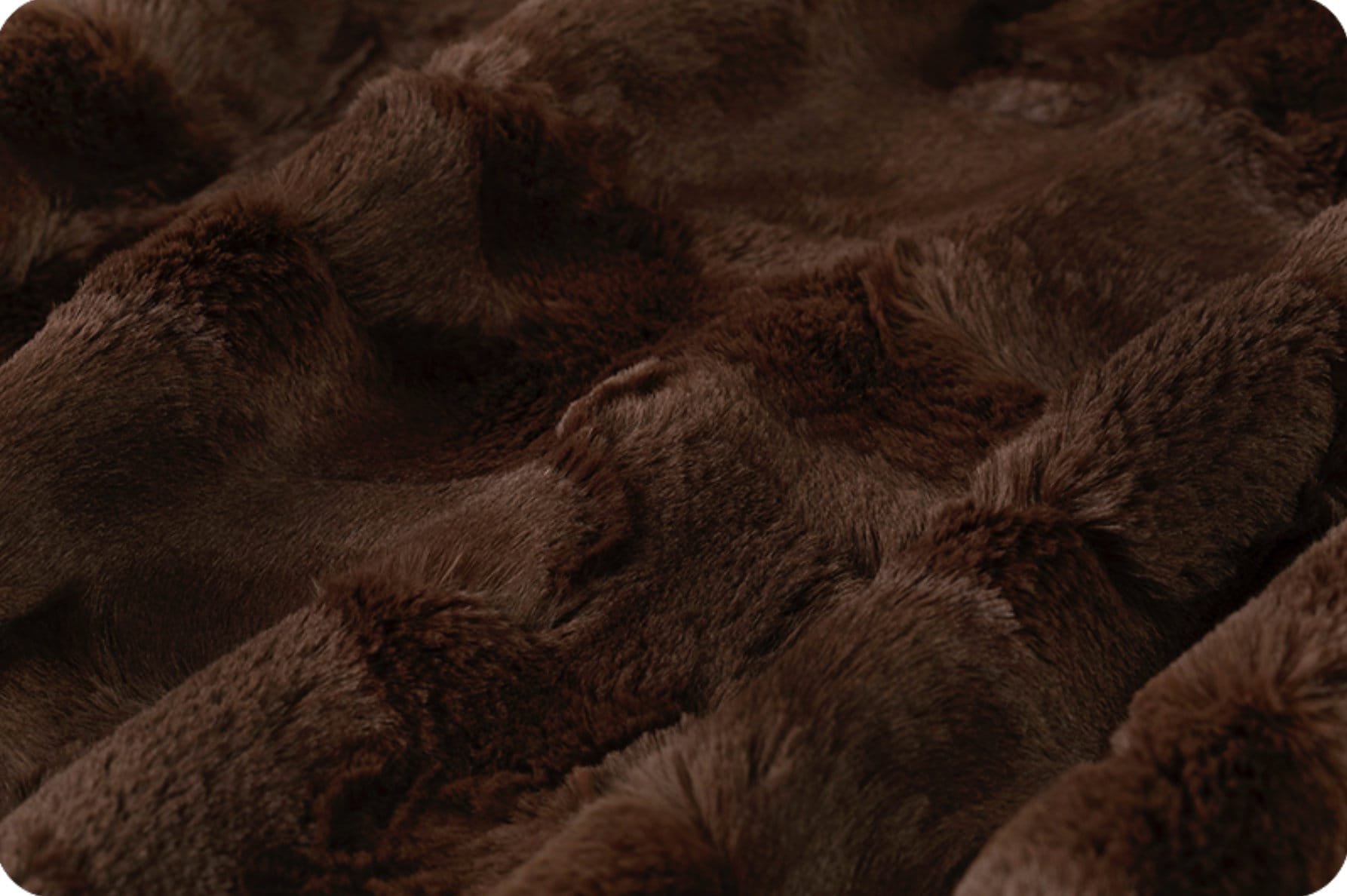 Chocolate Brown Minky Luxe Cuddle Hide by Shannon Fabrics. Soft ...