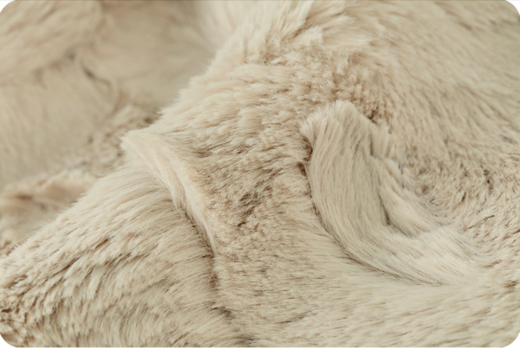 Champagne Minky Luxe Cuddle Hide by Shannon Fabrics. Tan Fabric by the ...