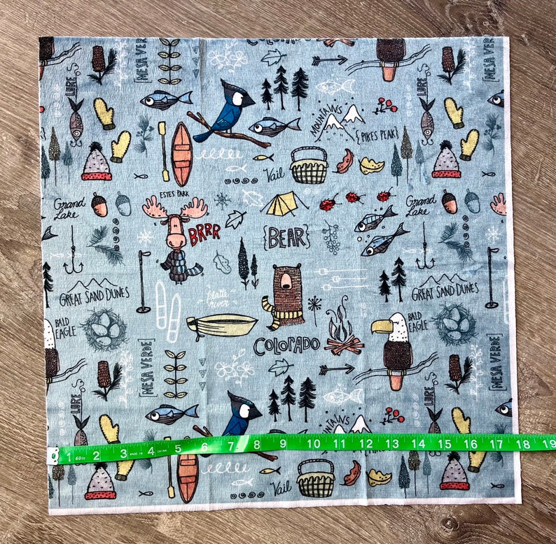 Colorado Minky Fabric Piece. 18 by 18 Inch Square. Soft CO Animal ...
