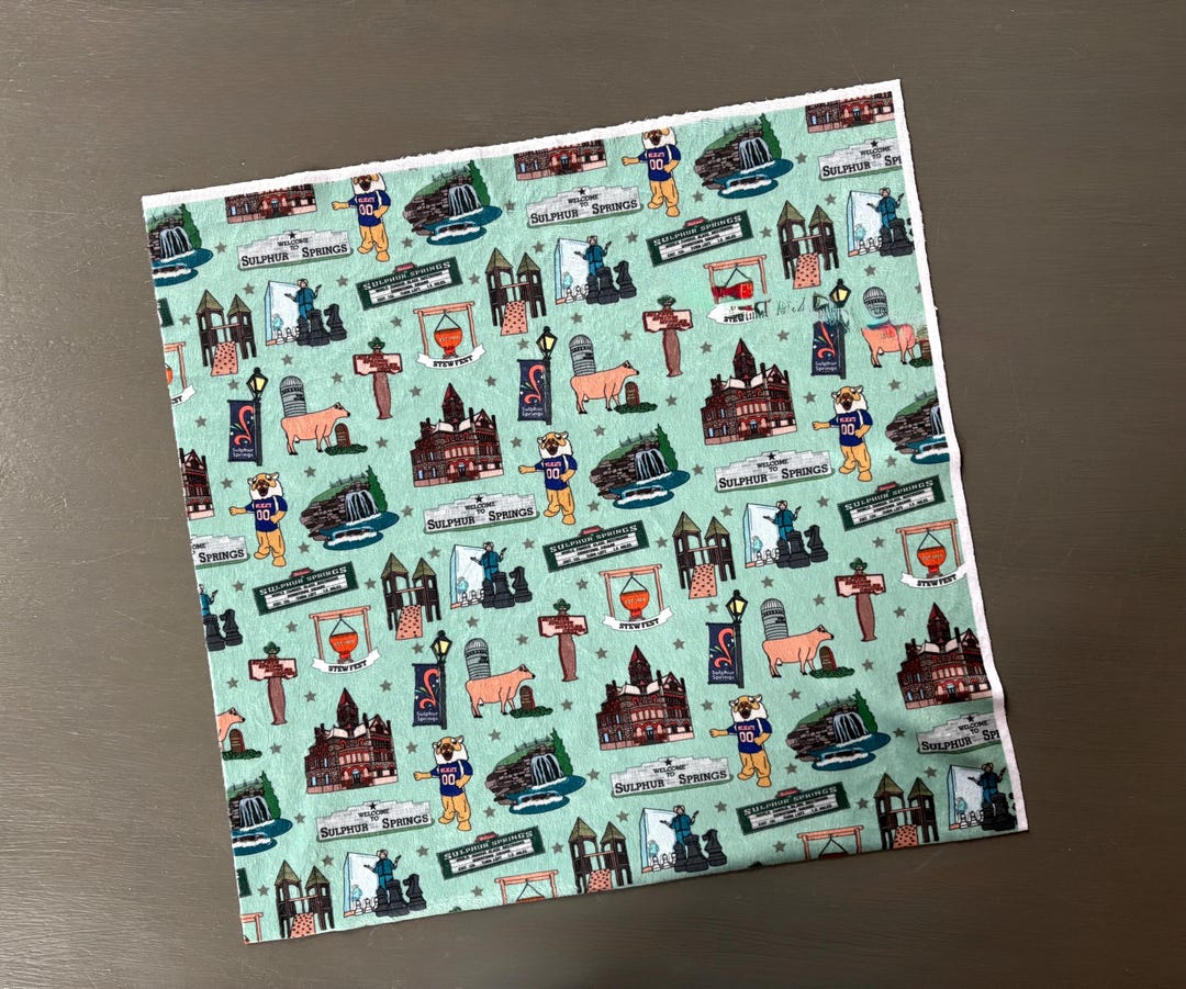 Sulphur Springs Minky Fabric Piece. Approximately 18 by 18 Inch. Soft ...