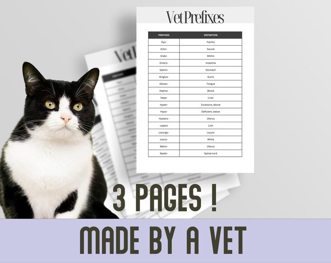The Ultimate Guide to Veterinary Medical Abbreviations and Terminology ...