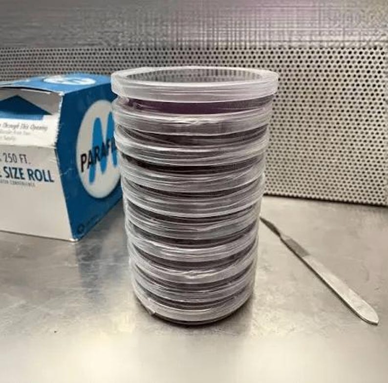 Pre-poured Sterile Agar Plate Containers – 10-pack | Superior Mold ...