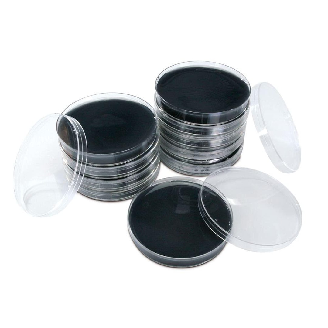 Pre-poured Sterile Agar Plate Containers – 10-pack | Superior Mold ...