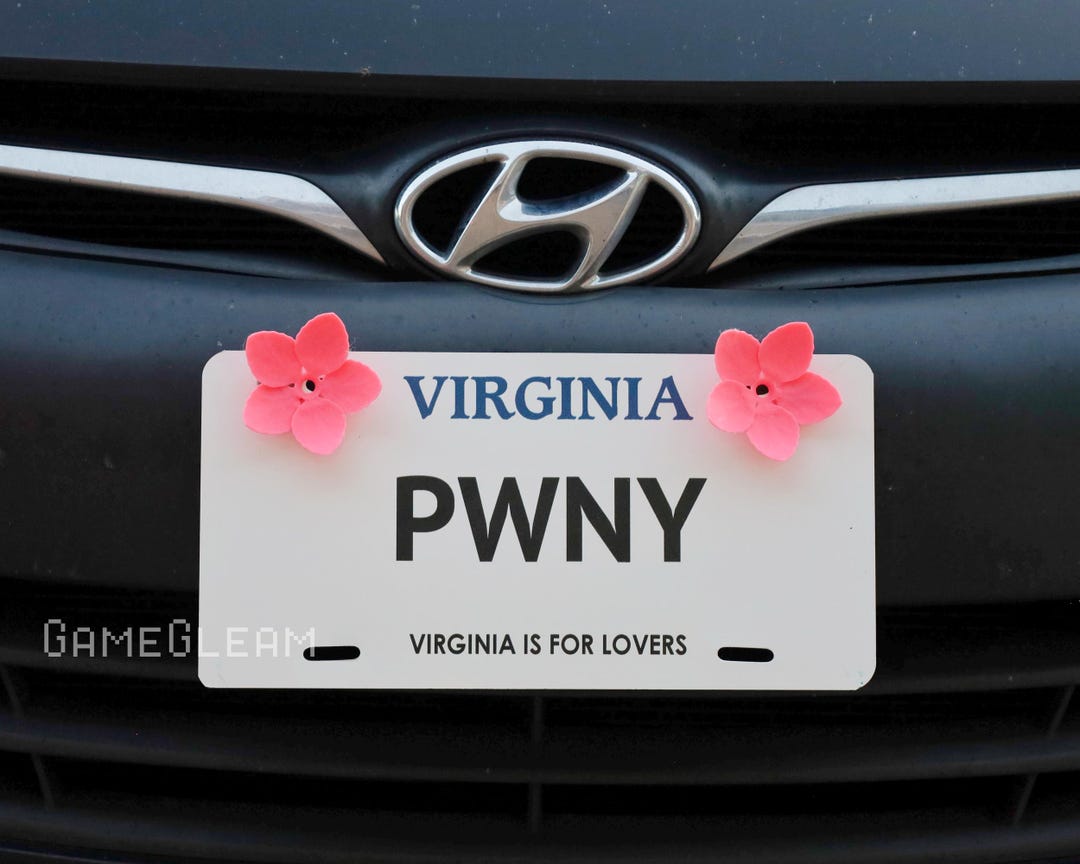 Sakura Cherry Blossom License Plate Pair: Pink Holographic Car Decor - Etsy