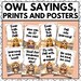 Fall Owl Motivational Posters: Classroom Decor (PDF) - Etsy