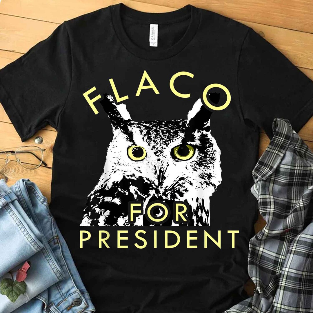 In Memory of Flaco, Loving Memory of Flaco the Owl Central Park Escaped ...