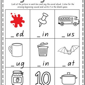 QLD Font | CVC Word | Beginning Sound Sort | Initial Sound Identify ...
