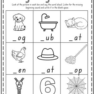 NSW Font | CVC Word | Beginning Sound Sort | Initial Sound Identify ...