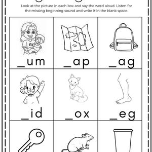 CVC Word | Beginning Sound Sort | Initial Sound Identify & Write ...