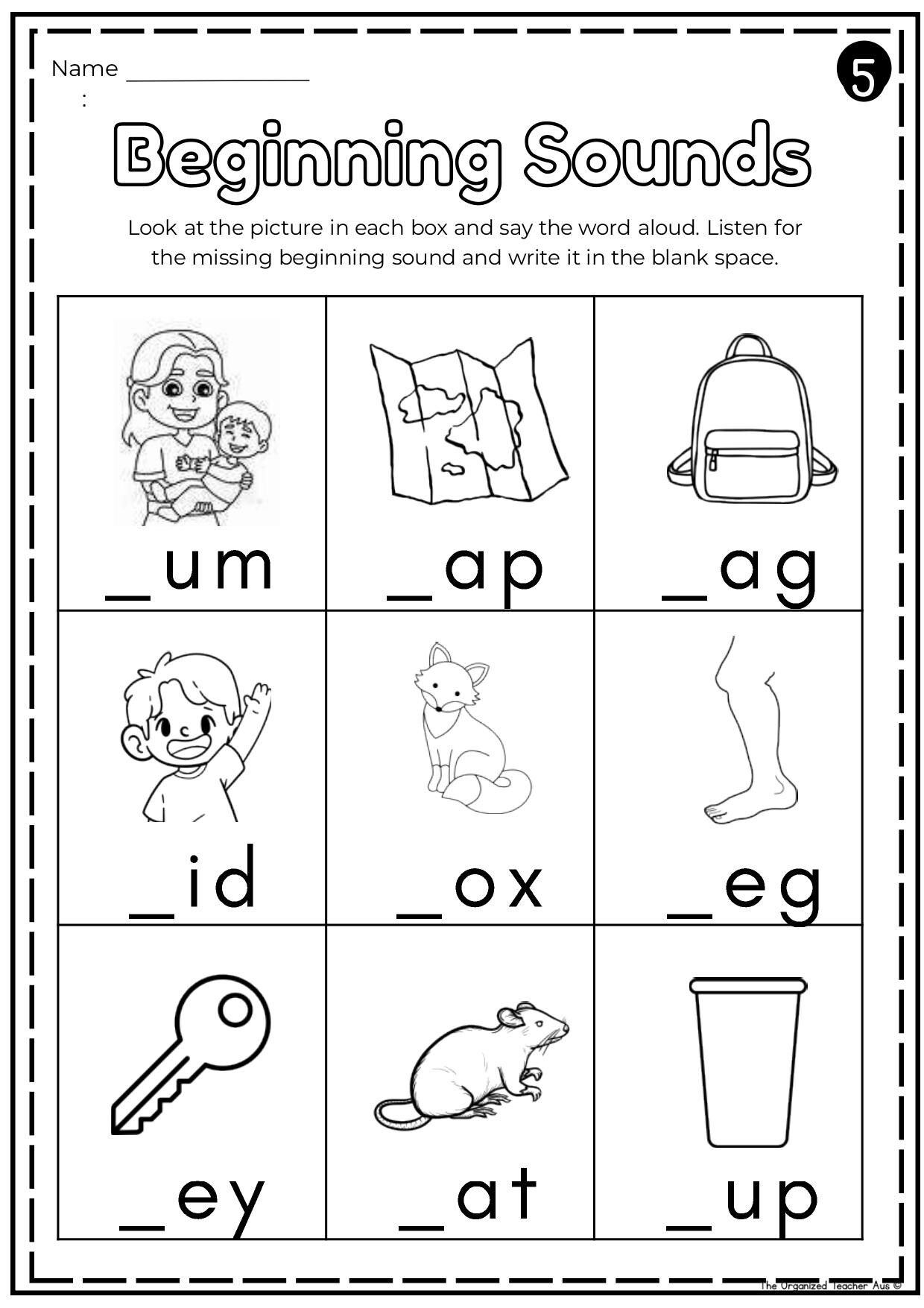 CVC Word | Beginning Sound Sort | Initial Sound Identify & Write ...