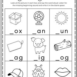 CVC Word | Beginning Sound Sort | Initial Sound Identify & Write ...