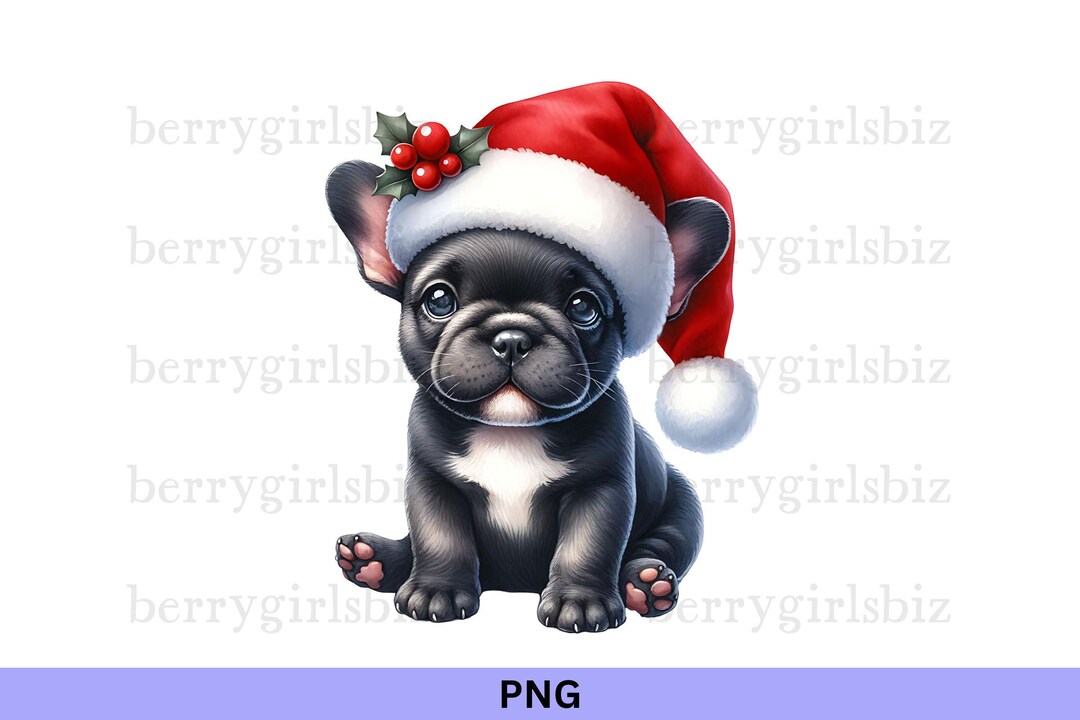 French Bulldog PNG, Frenchie PNG, French Bulldog Santa Hat, Dog With ...