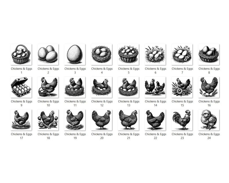 Chickens & Eggs PNG Bundle, Chicken PNG, Chicken Eggs PNG, Chicken ...