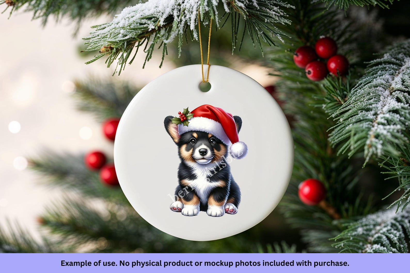 Corgi PNG, Corgi Santa Hat, Dog With Santa Hat, Christmas Corgi, Corgi ...