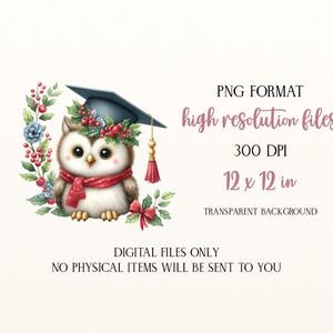 Cute Graduation Owl Clipart, Graduation Animals PNG, Watercolor Cartoon ...