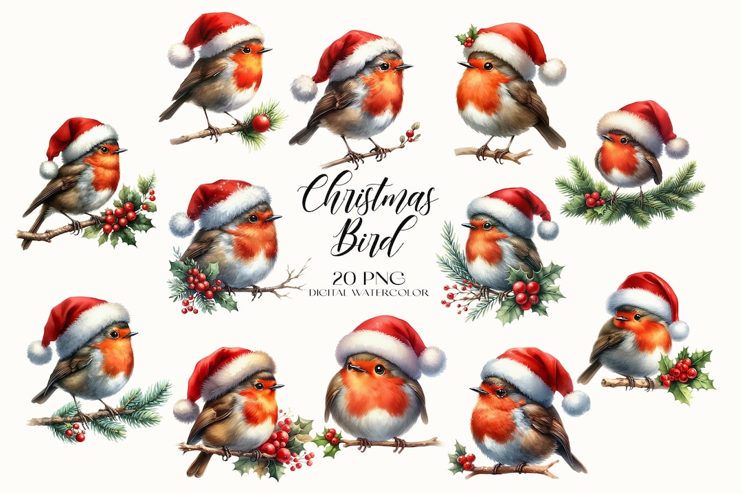 Christmas Bird Clipart, Christmas Cute Bird PNG, Cartoon Bird Clipart ...