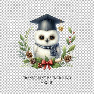Cute Graduation Owl Clipart, Graduation Animals PNG, Watercolor Cartoon ...