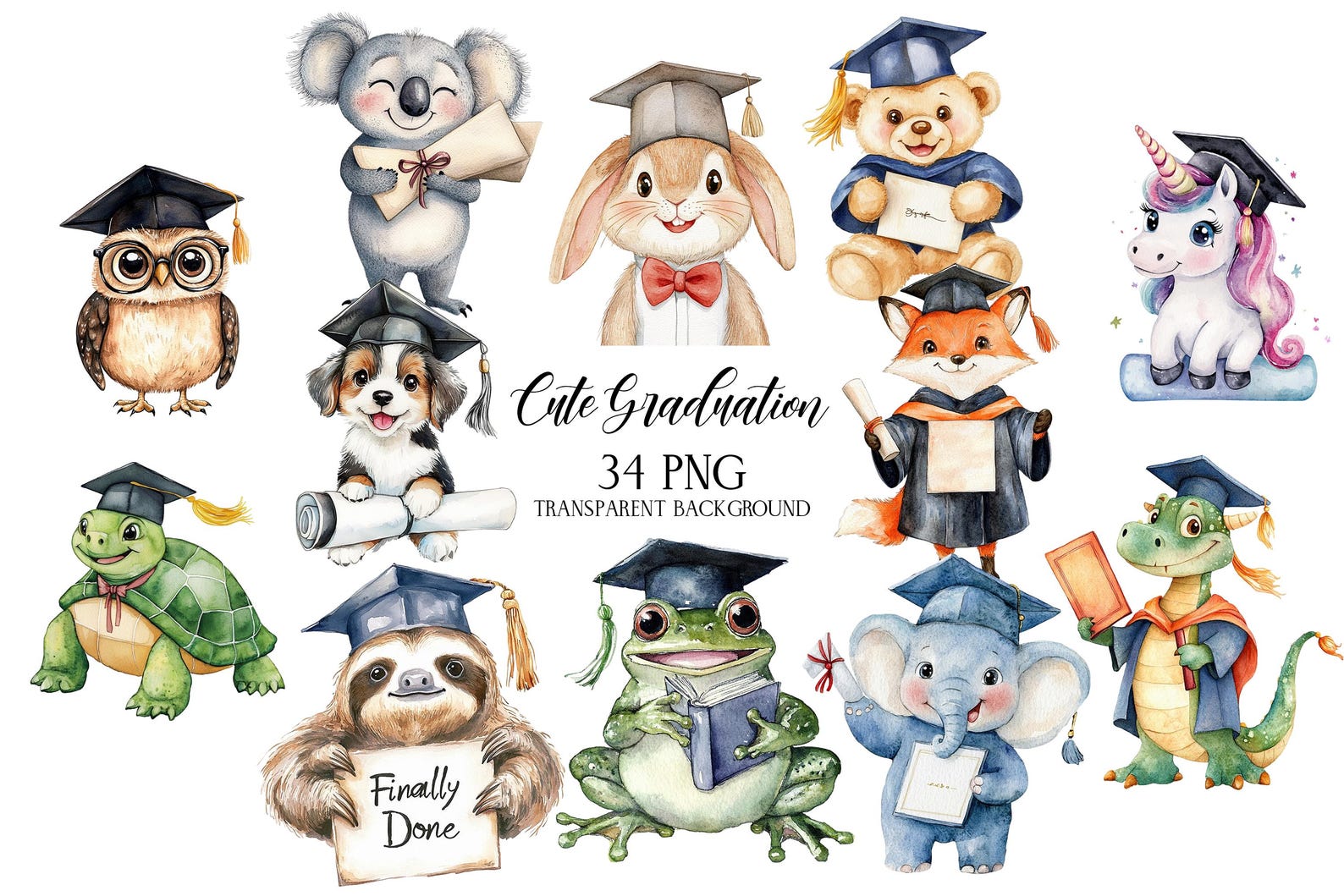 Funny Animals Graduation Clipart, Graduation Animals PNG, Watercolor ...