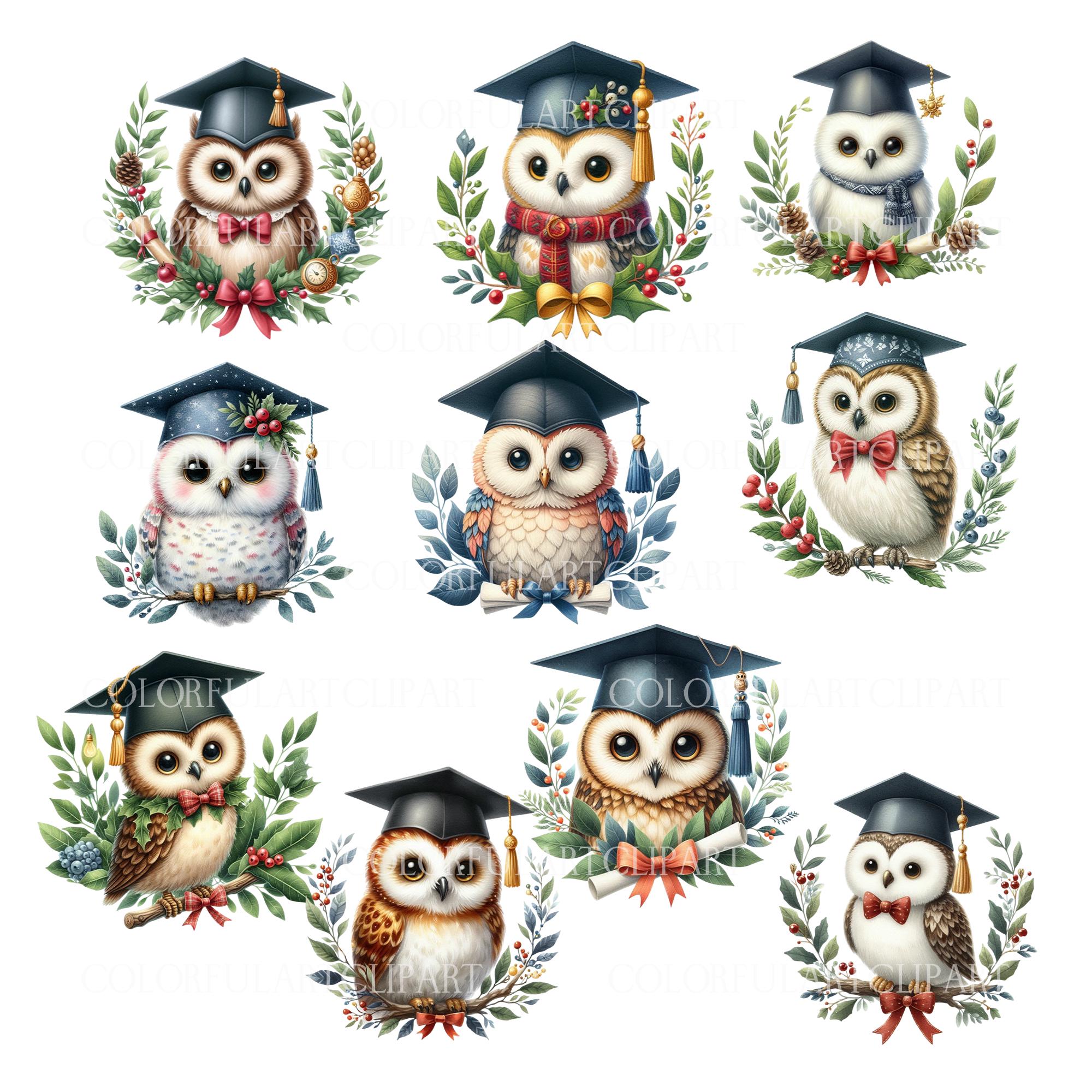 Cute Graduation Owl Clipart, Graduation Animals PNG, Watercolor Cartoon ...