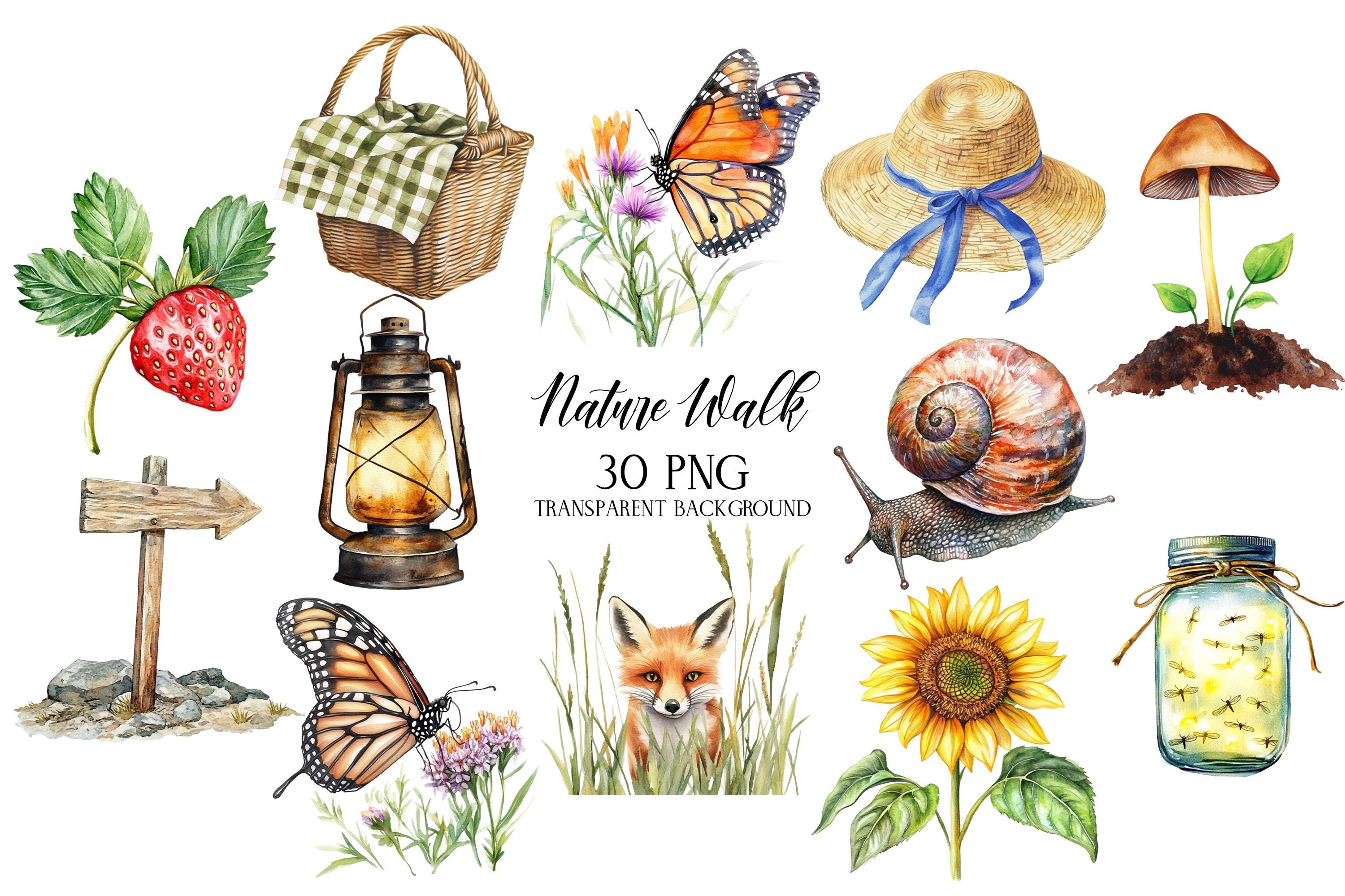 Summer Nature Walk Clipart PNG, Watercolor Summer Clipart, Flowers ...