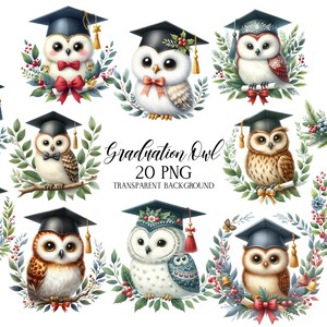 Cute Graduation Owl Clipart, Graduation Animals PNG, Watercolor Cartoon ...