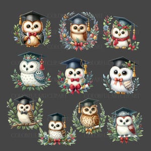 Cute Graduation Owl Clipart, Graduation Animals PNG, Watercolor Cartoon ...
