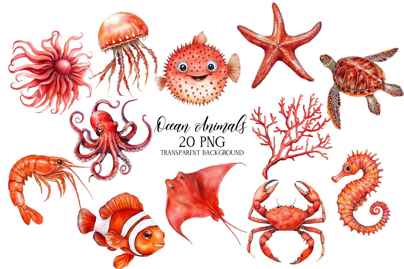 Watercolor Sea Animals Clipart, Sea Animals PNG, Animals Illustrations ...