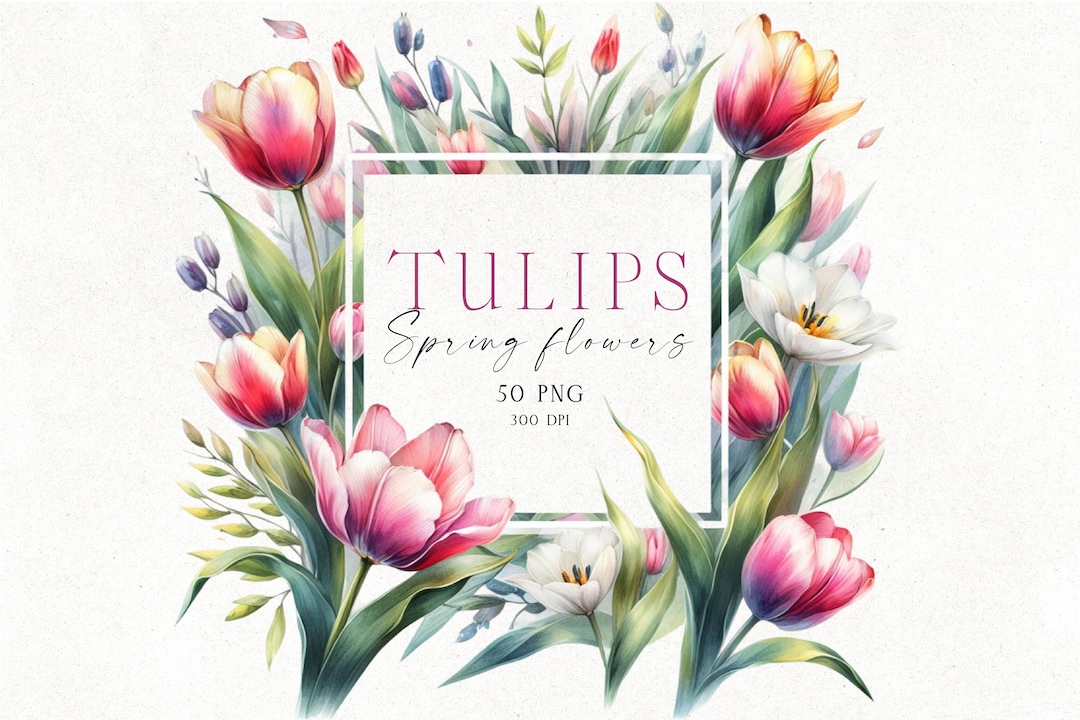 Tulip Clip Art Bundle, 50 PNG Watercolor Tulips, Spring Floral Clipart ...