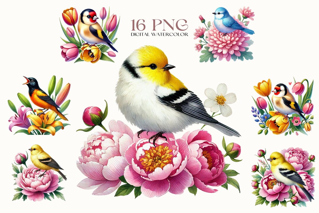 Spring Birds PNG, Spring Birds Clipart, Easter Birds PNG, Floral ...