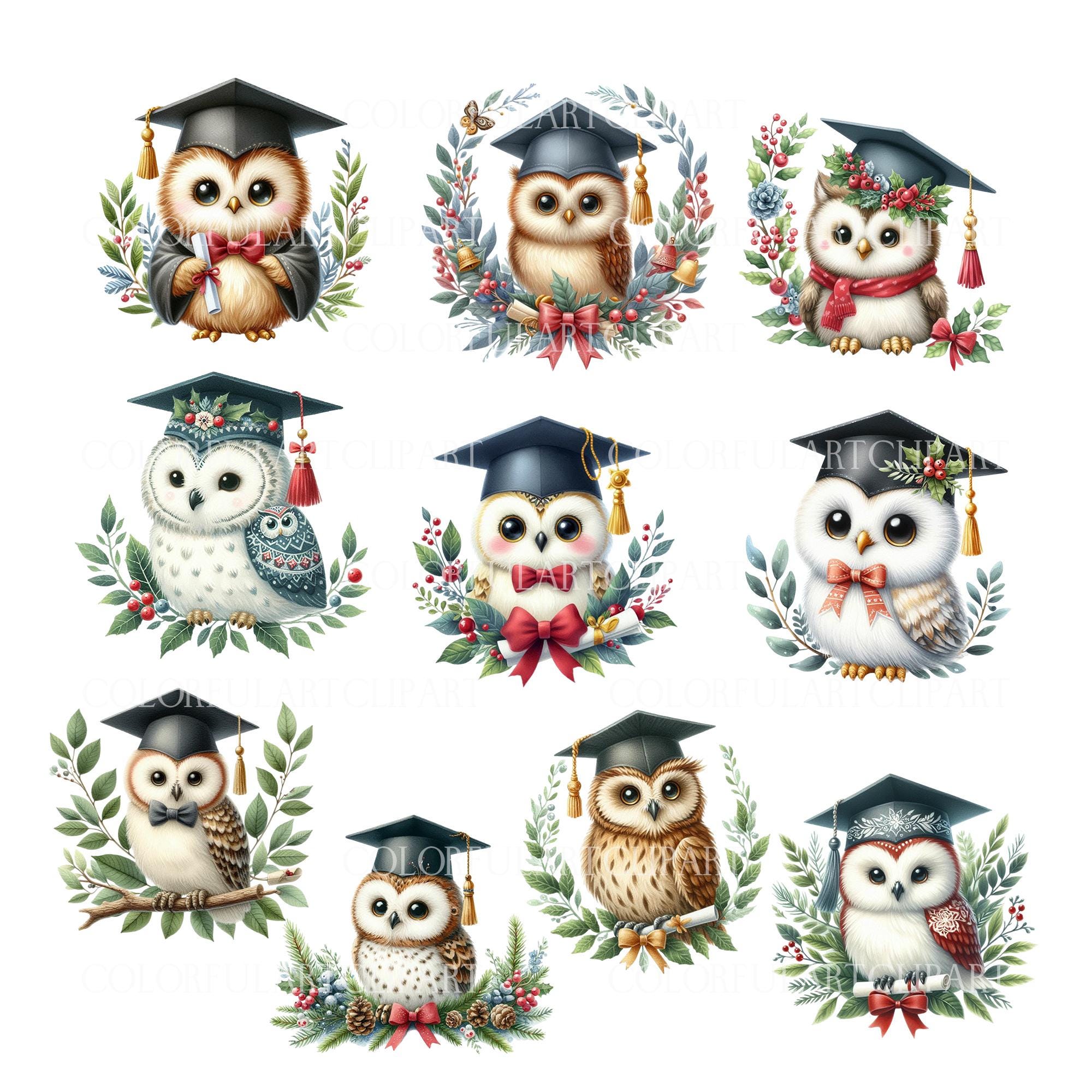Cute Graduation Owl Clipart, Graduation Animals PNG, Watercolor Cartoon ...