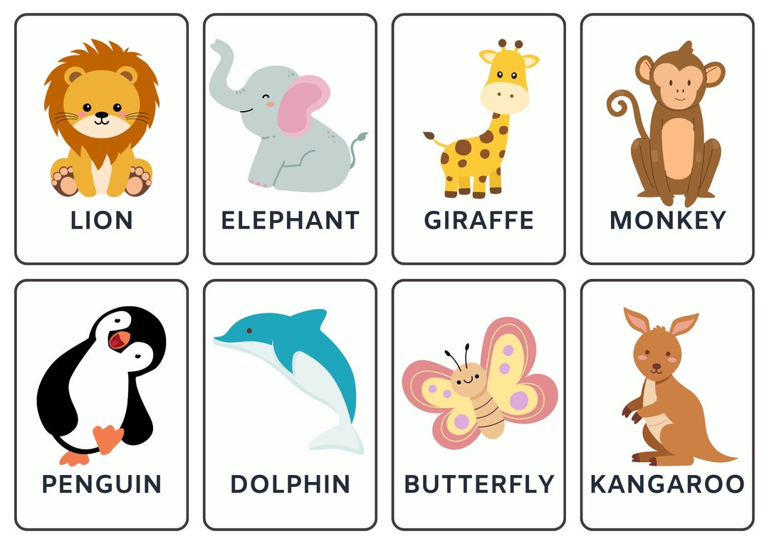 24 Cute Animal Flashcards Montessori Flashcards Pre-school Cards ...
