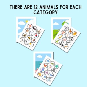 Printable Sorting Air, Land, and Water Animals, Sorting Activity ...