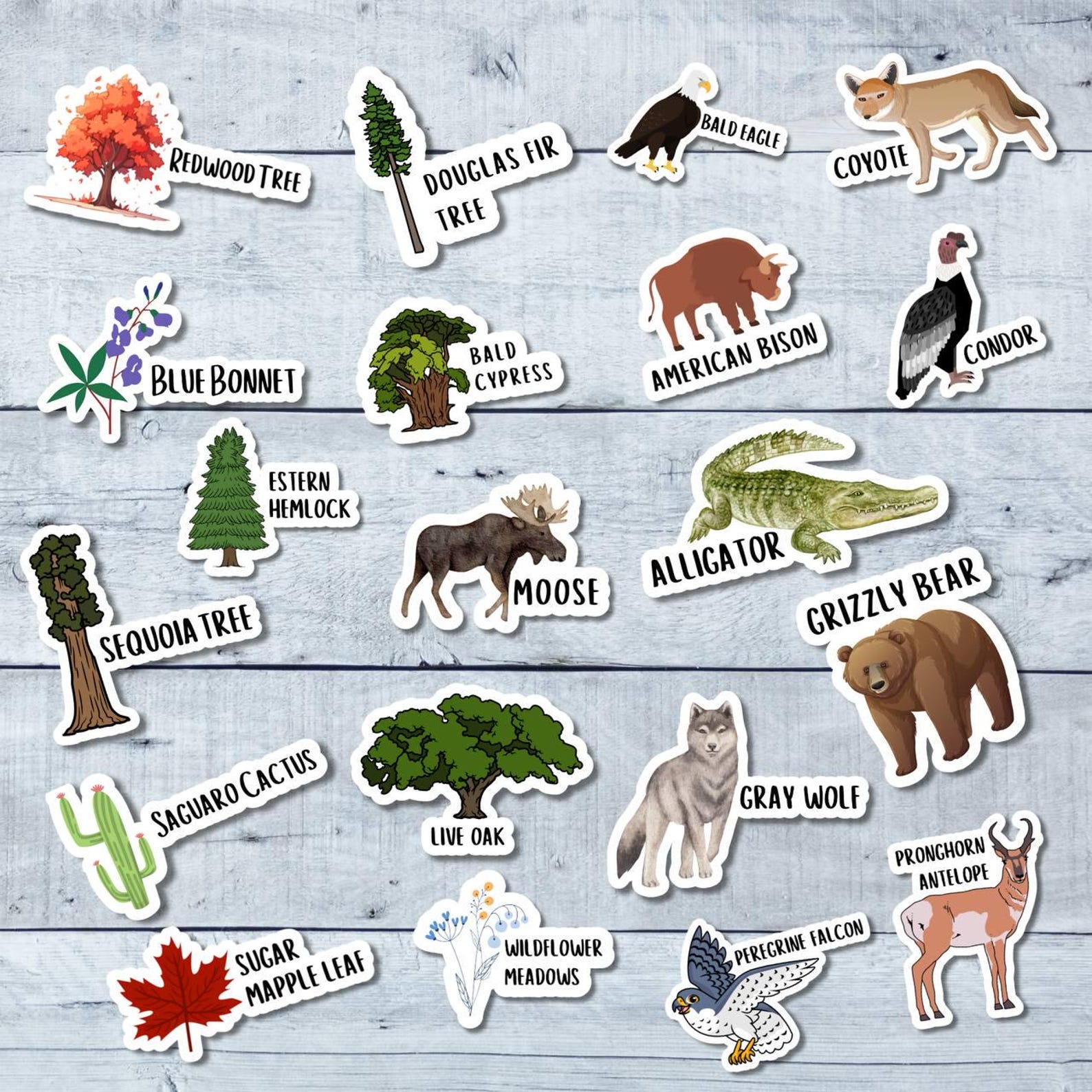USA Flora and Fauna Digital Stickers, Plants and Animals Printable ...