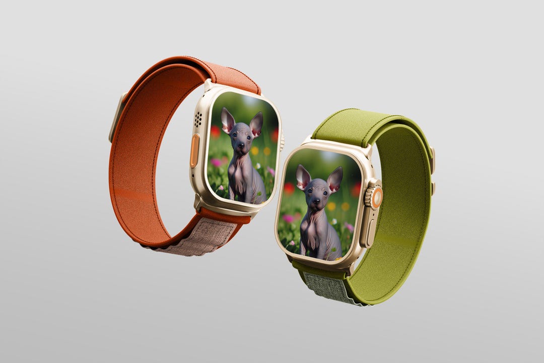 Adorable Xolo Puppy Smartwatch Wallpaper - Floral Digital Watch Face ...