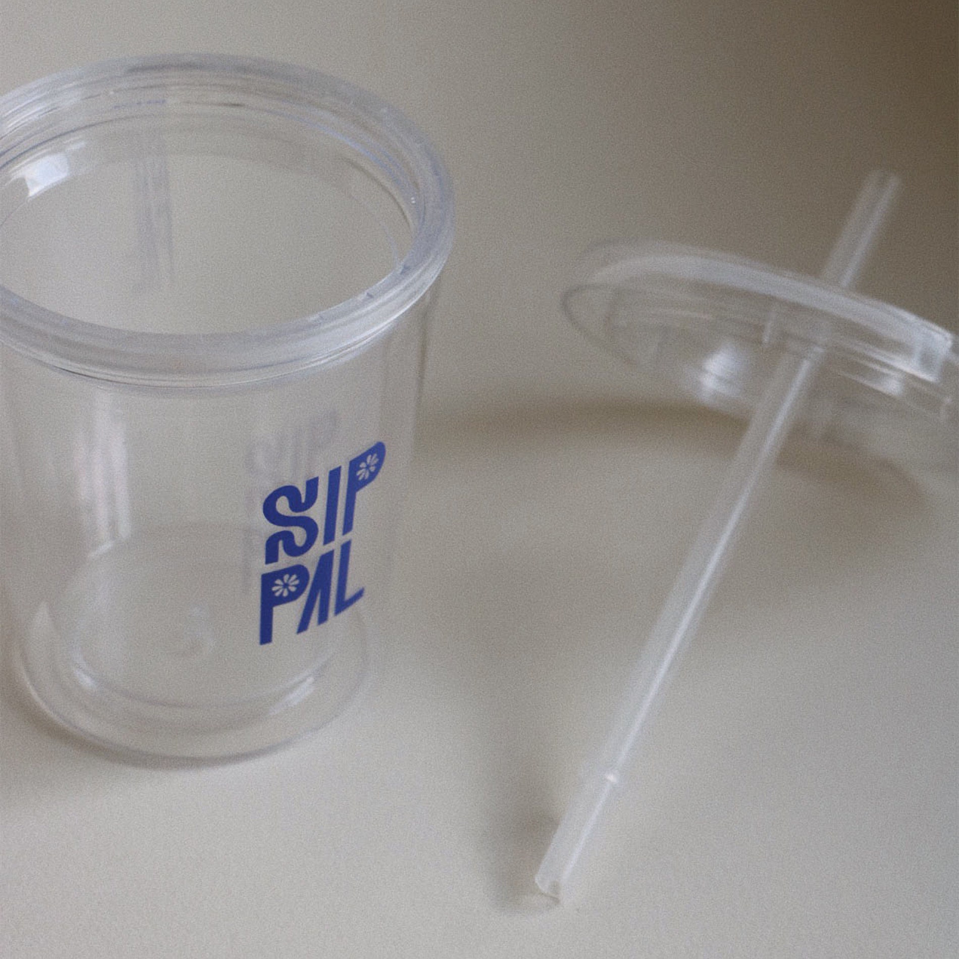 Sip Pal Cup - Citrus - Etsy