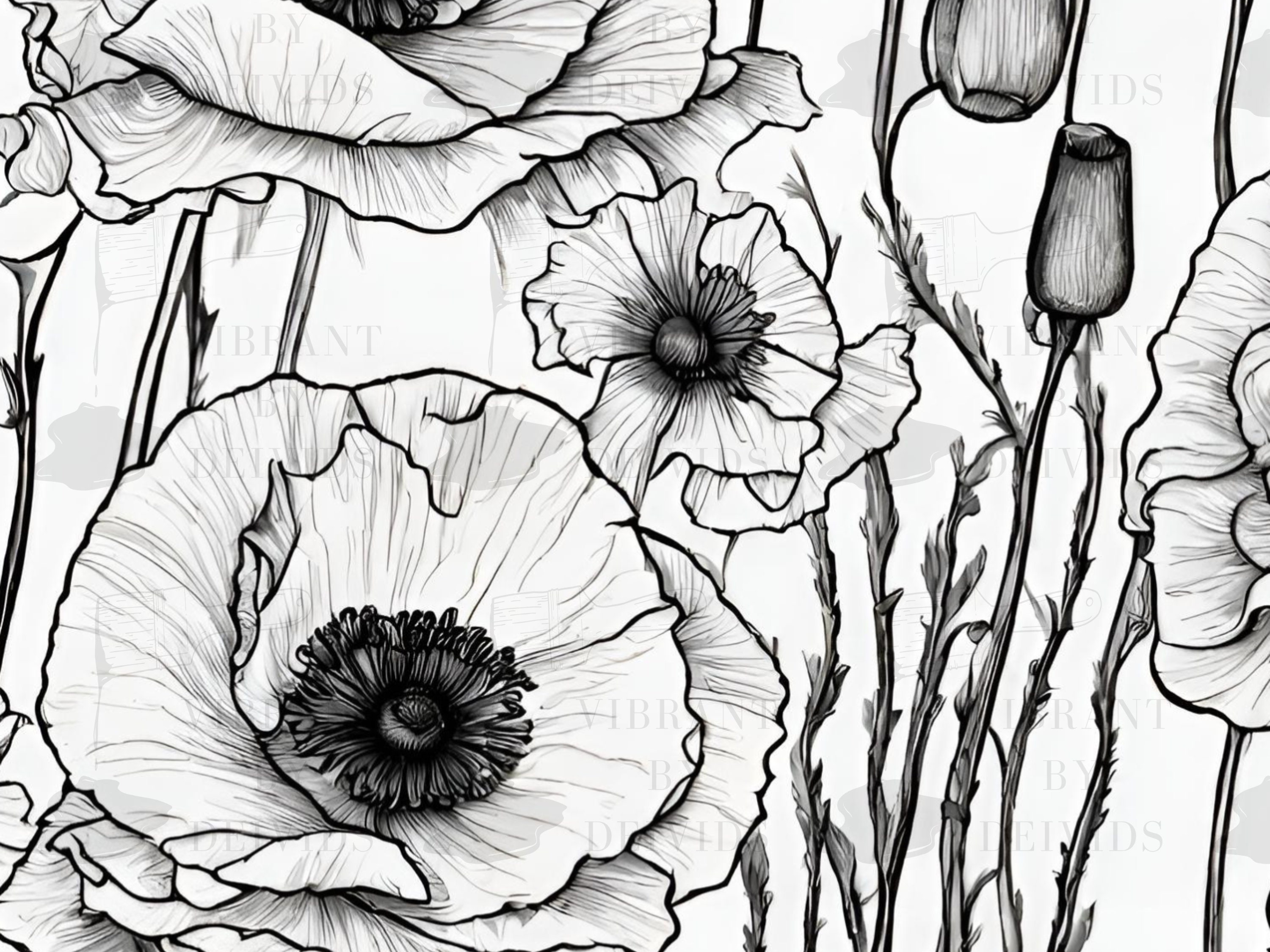 Poppies Coloring Pages Printable Floral Art for Relaxation and ...